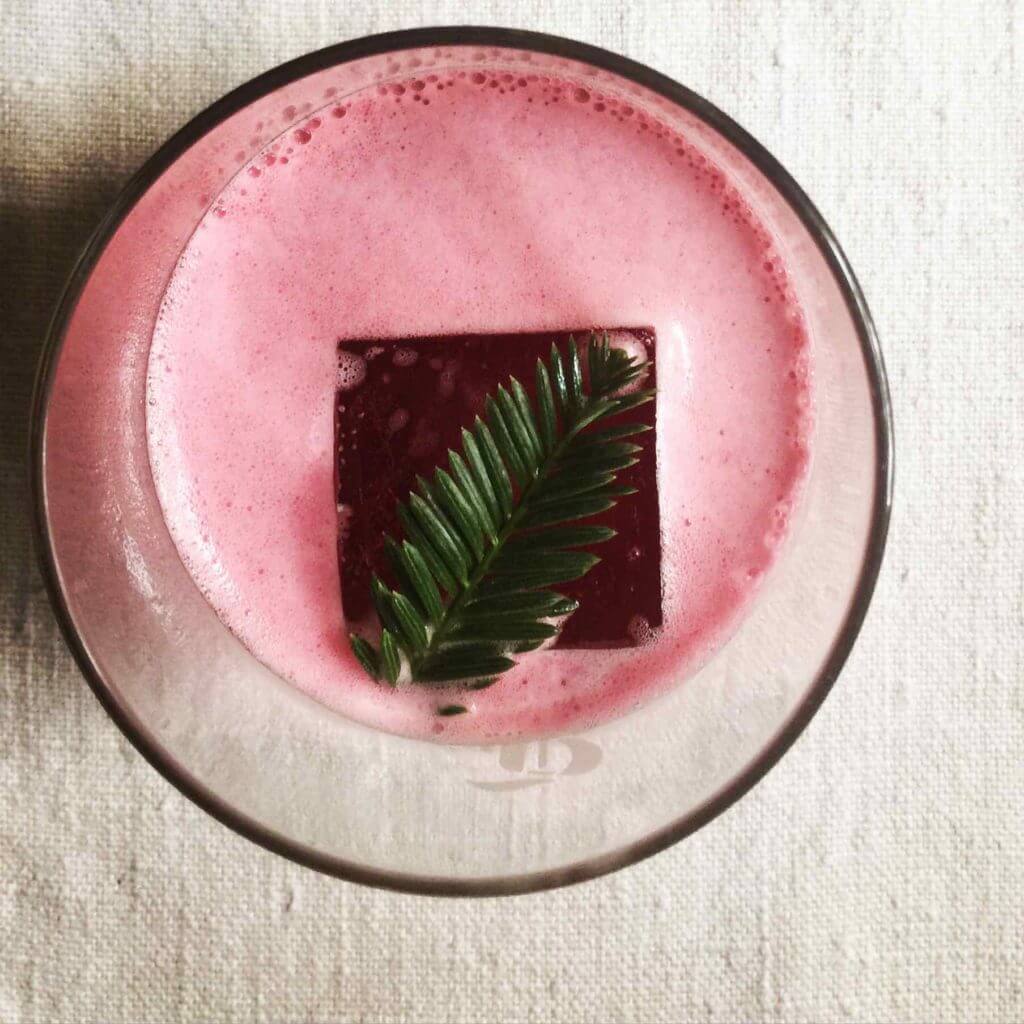 Forest Cocktail – Carmel Berry Co.